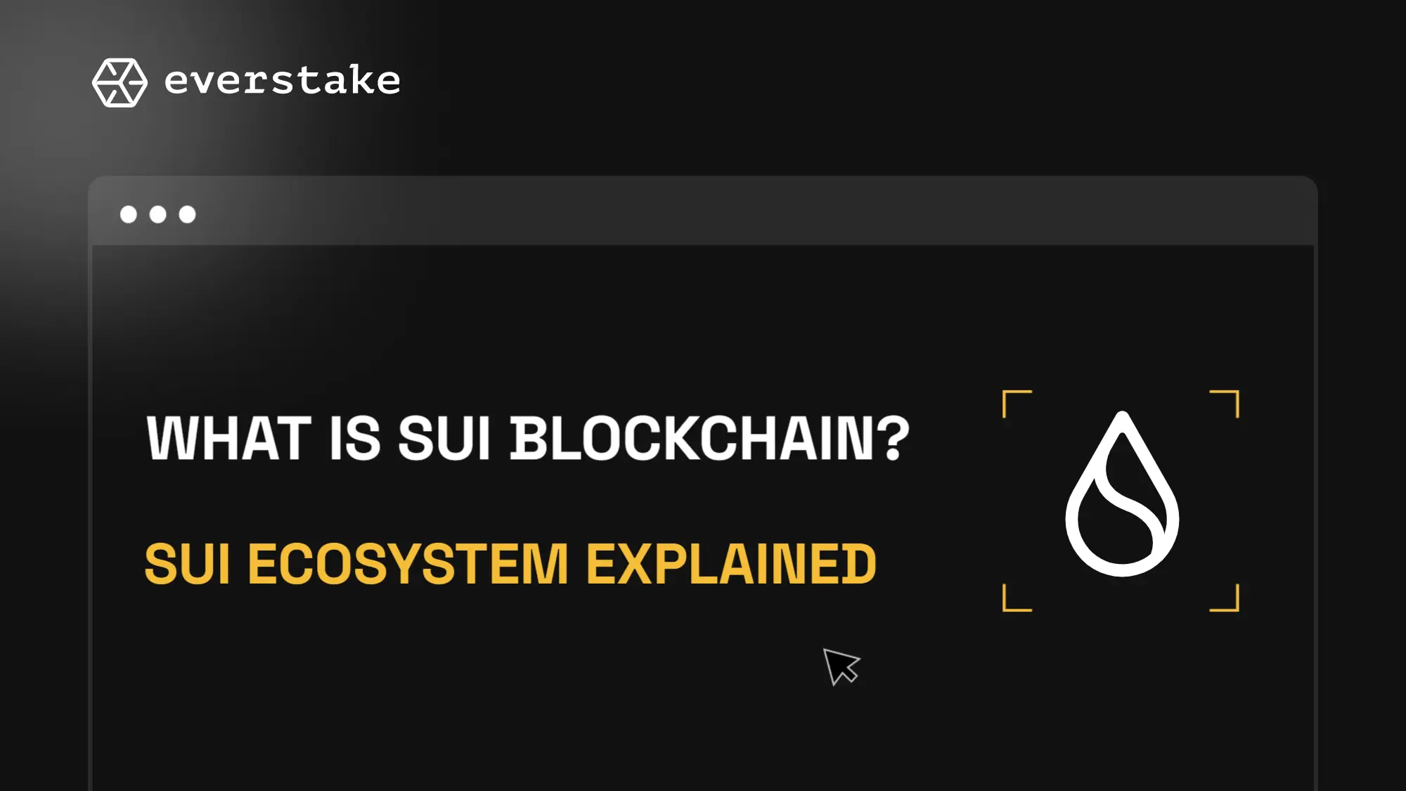 What is Sui Blockchain - Sui Ecosystem Explained | Everstake Blog