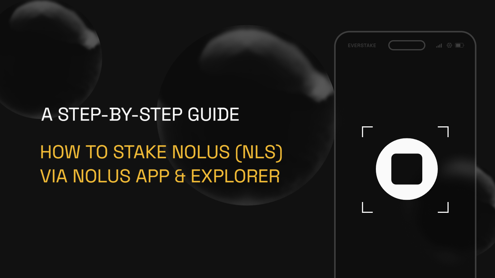 HOW TO STAKE NOLUS (NLS) VIA NOLUS APP & EXPLORER: A STEP-BY-STEP GUIDE | Everstake Blog